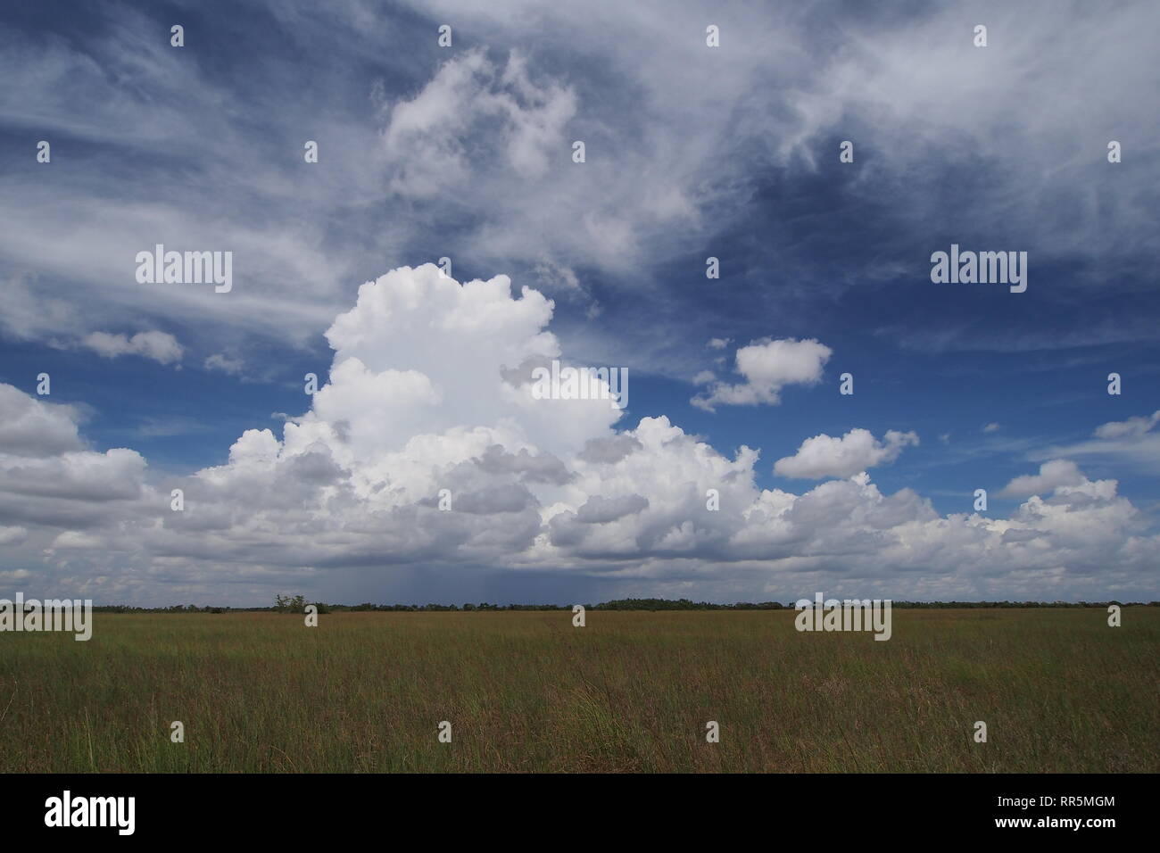 Rainclouds over the expanse of sawgrass in Everglades National Park ...