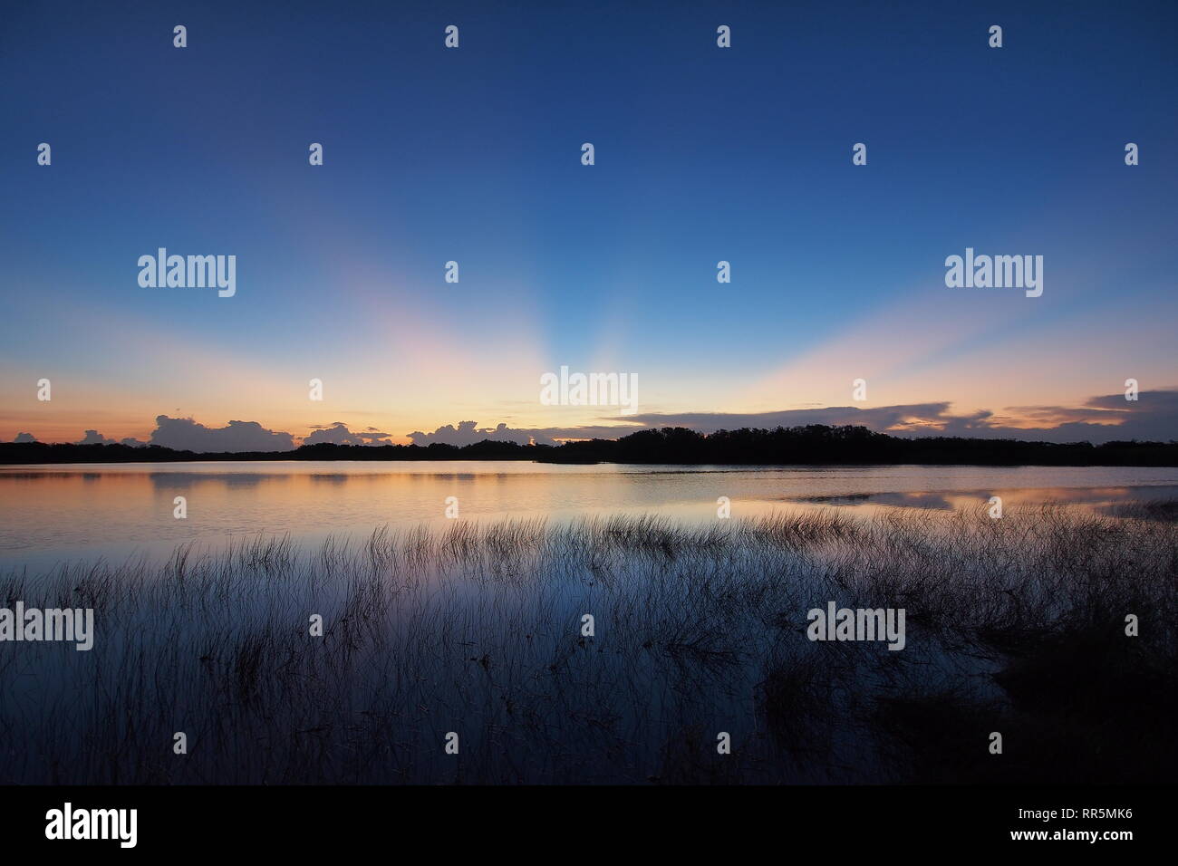 Sunrise with distinct sun rays over Nine Mile Pond in Everglades ...