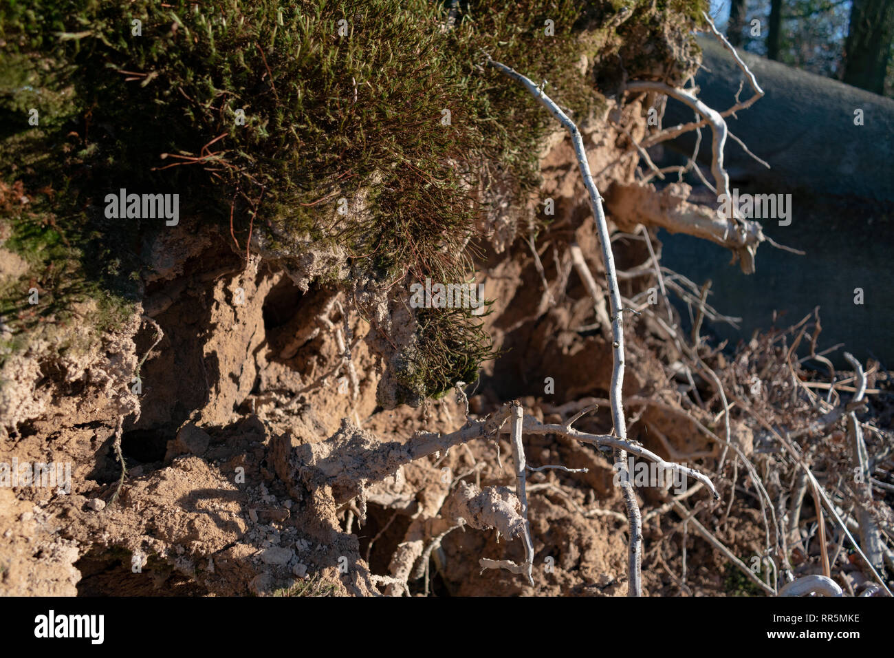 Eroding ground hi-res stock photography and images - Alamy