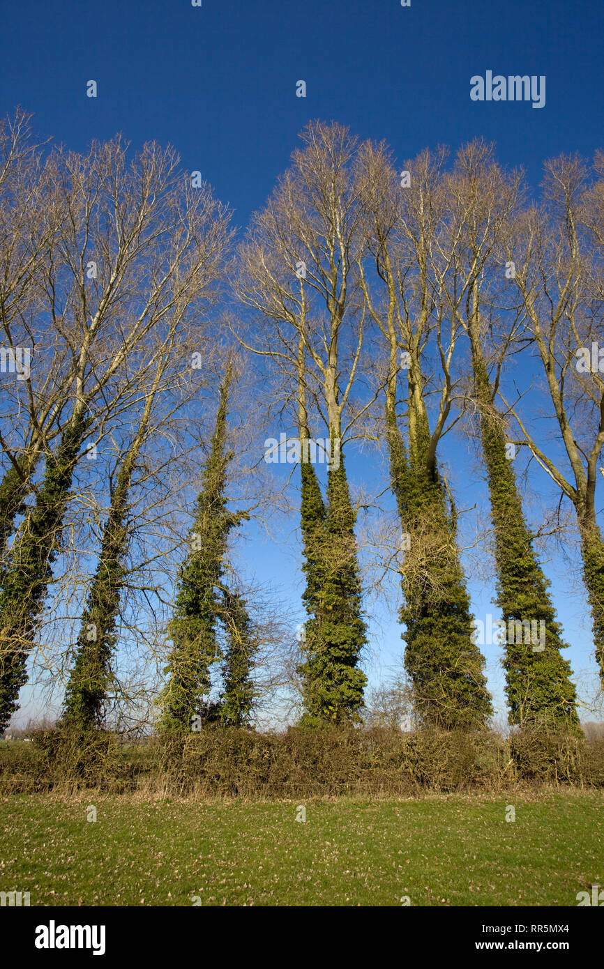 Buscot Lock High Resolution Stock Photography and Images - Alamy