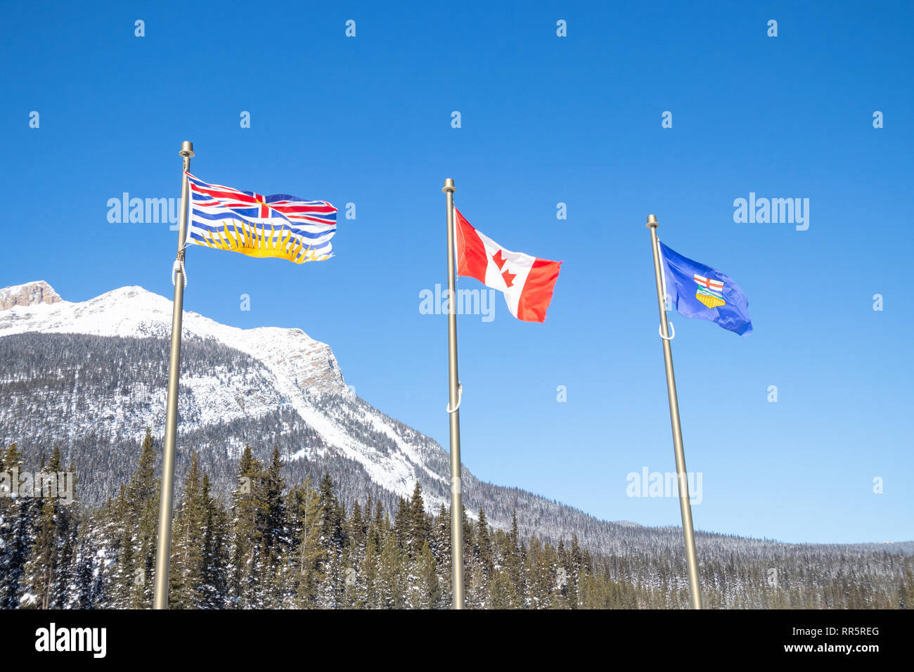 On the continental divide and the british columbia alberta border hi ...