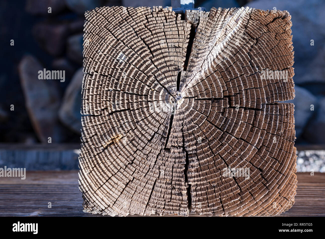 Tree rings on the edge of a wood post Stock Photo - Alamy