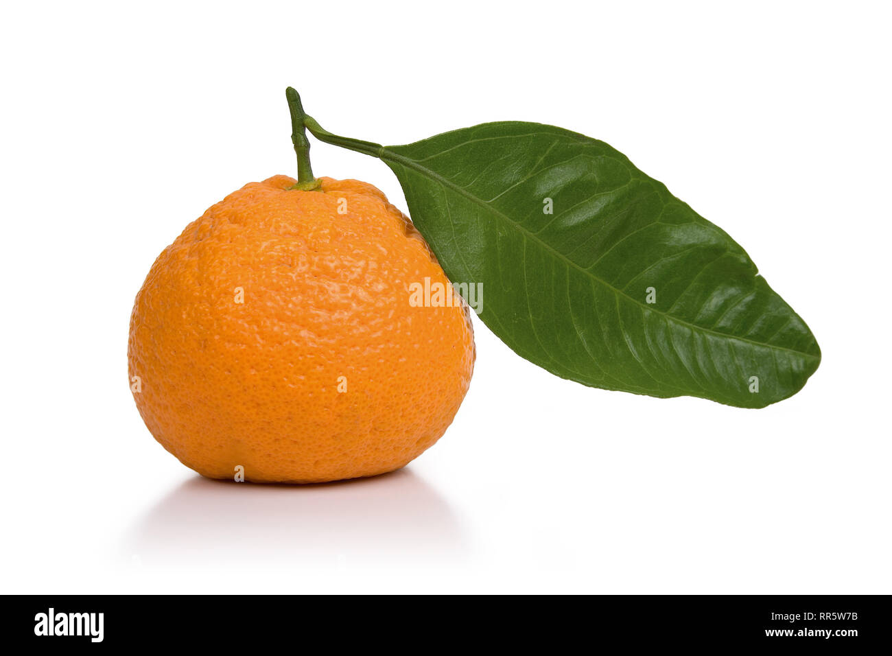 Fresh tangerine with leaf isolated on white background Stock Photo - Alamy