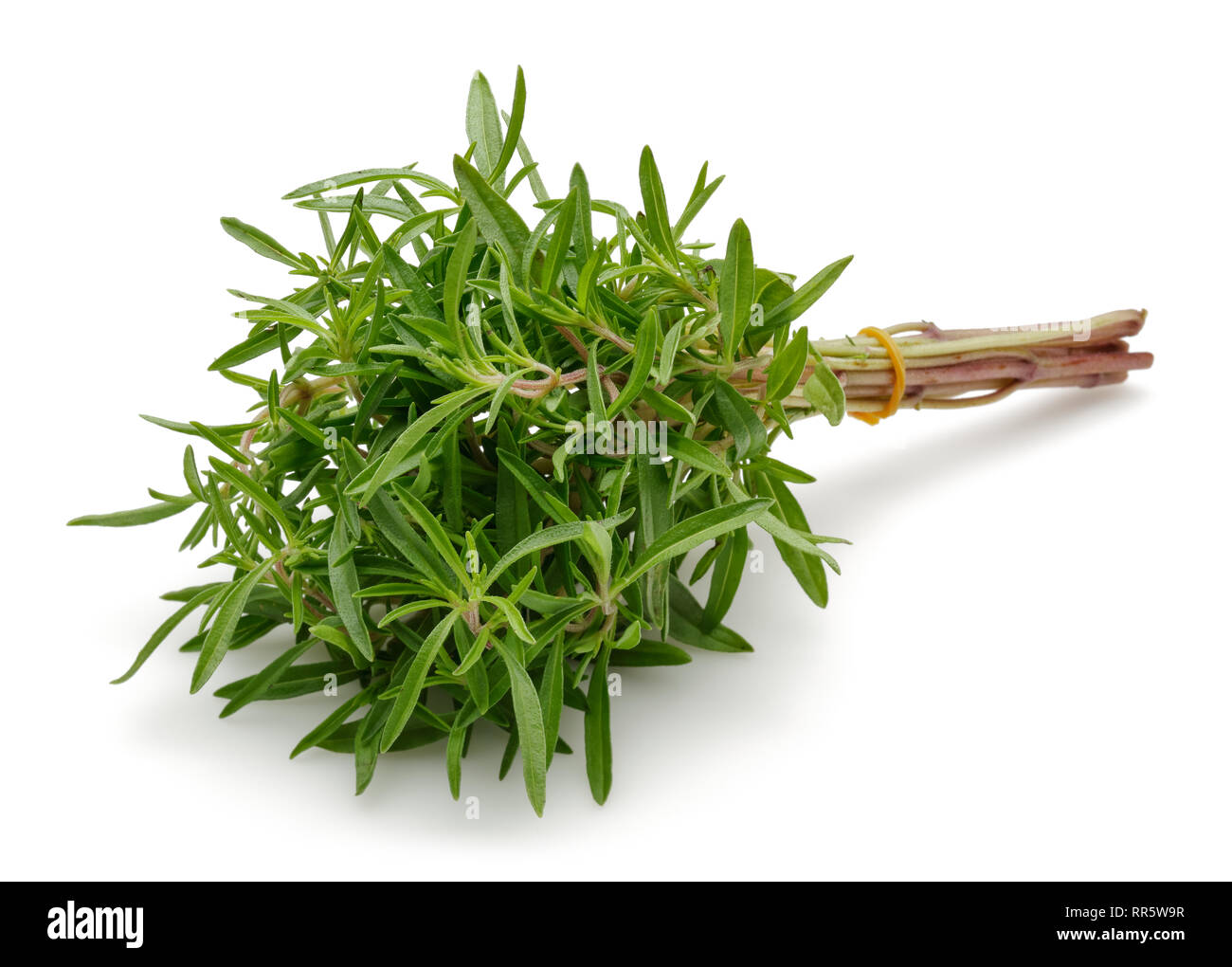 Fresh green thyme isolated on white background Stock Photo - Alamy