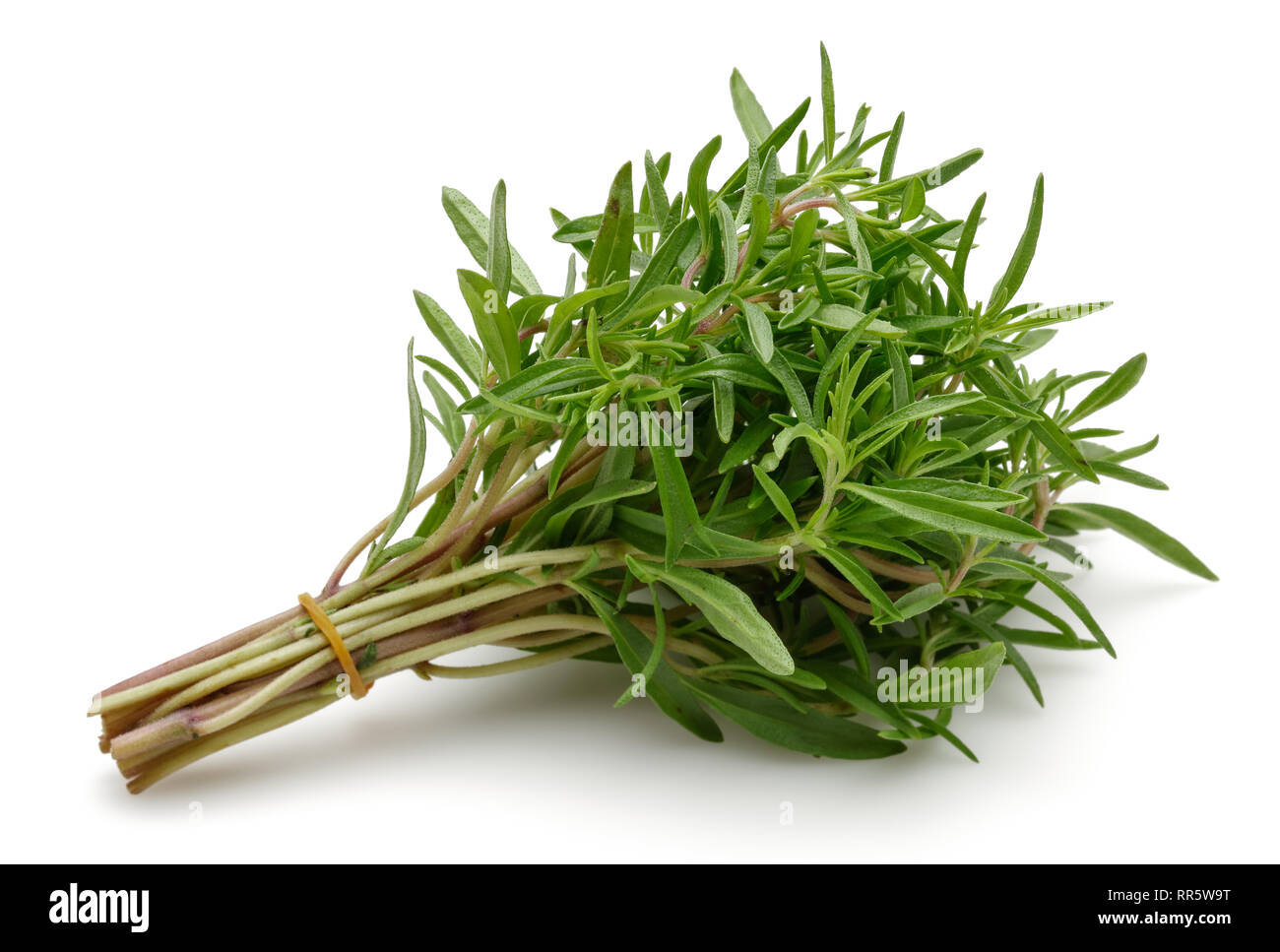 Fresh green thyme isolated on white background Stock Photo - Alamy