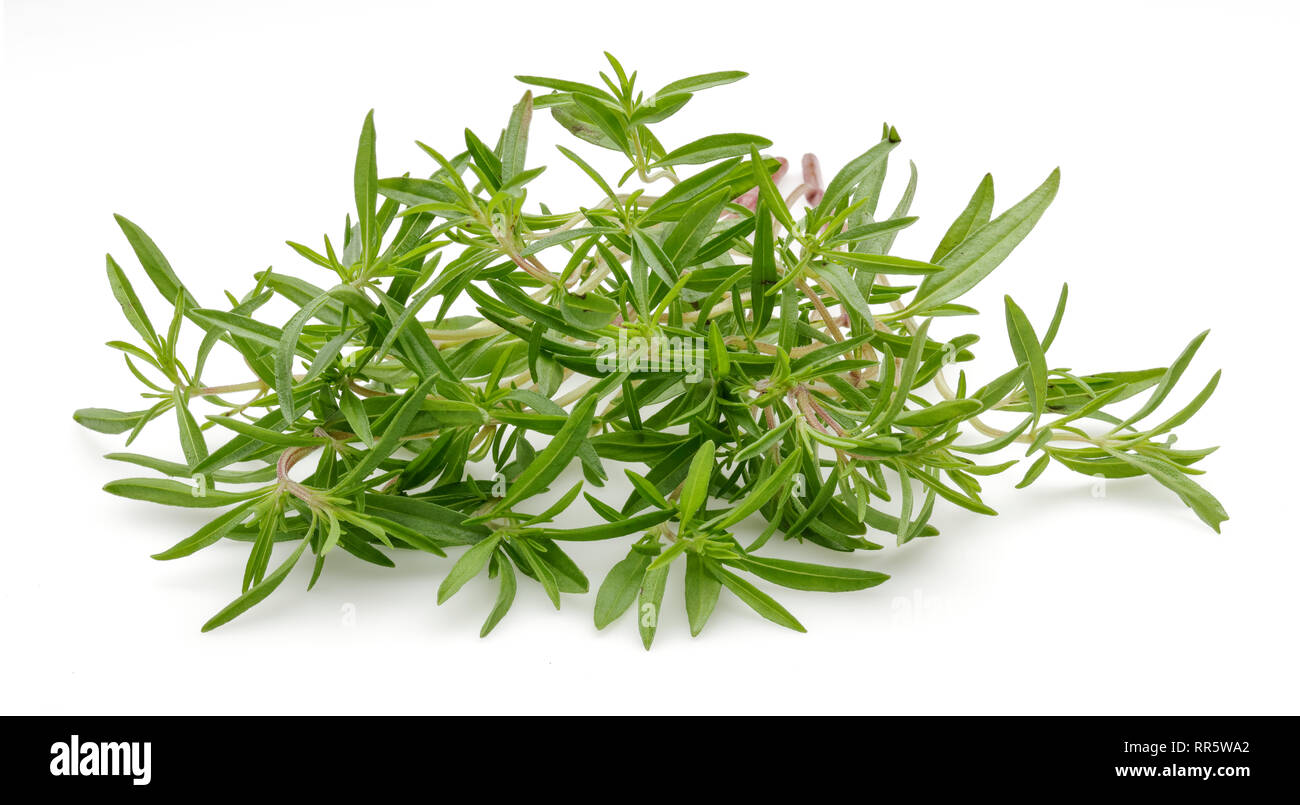 Fresh green thyme isolated on white background Stock Photo - Alamy