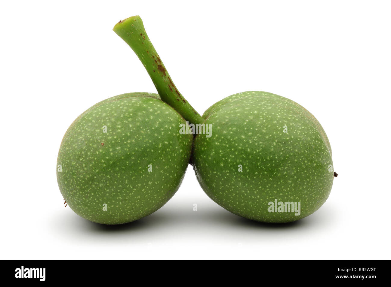 Two walnut on green Cut Out Stock Images & Pictures - Alamy
