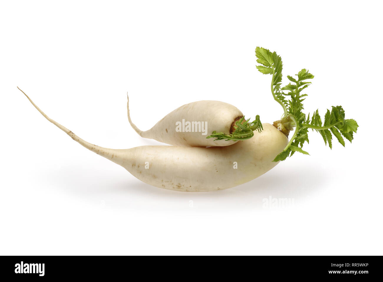 Fresh daikon white radish with leaves isolated on white background ...