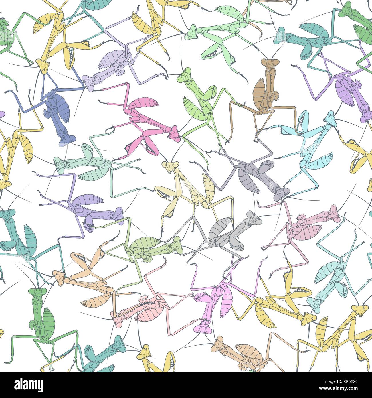 Colorful mantis on white seamless background Stock Vector Image & Art ...
