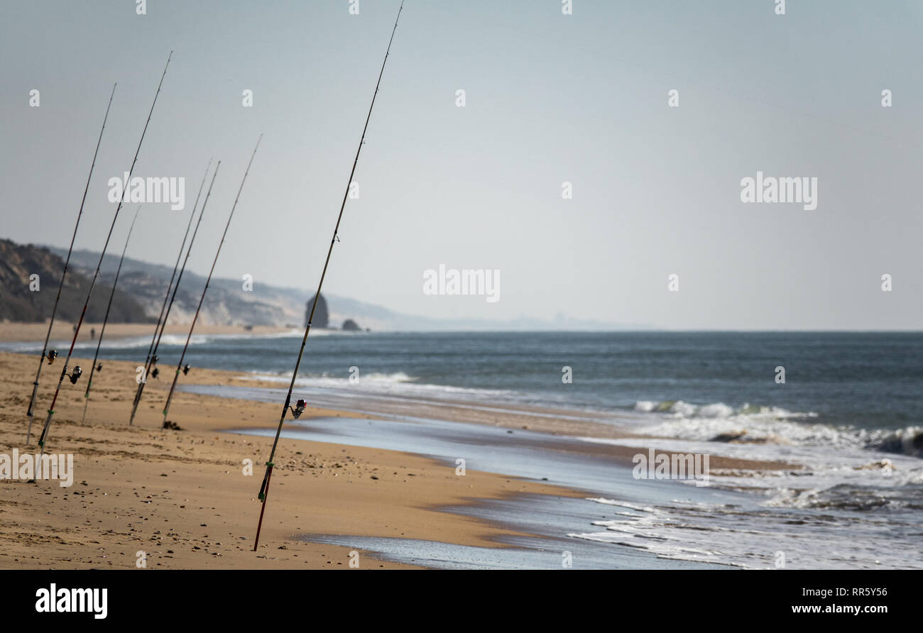 Many fishing rods fishing in the beach Stock Photo - Alamy