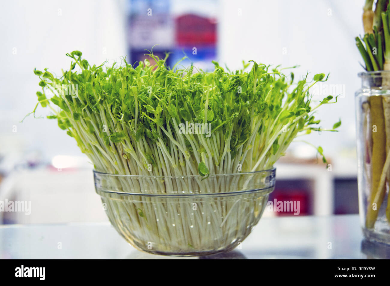 fresh snow pea sprouts and Green peas in wooden bow Stock Photo - Alamy