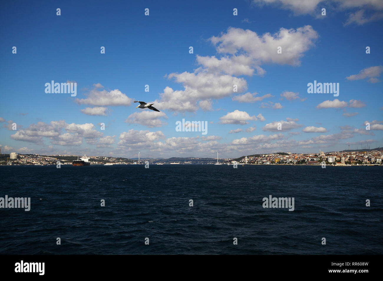 Panoramic view of Istanbul from the Bosphorus Strait. Sea cruise on the ...