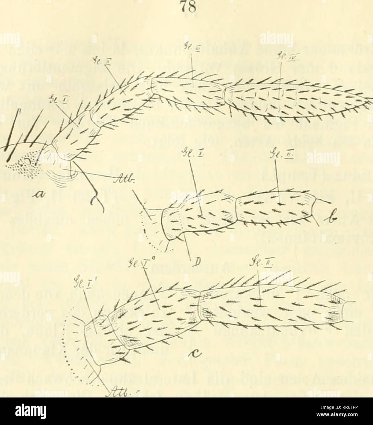 Verden a d aller hi-res stock photography and images - Alamy