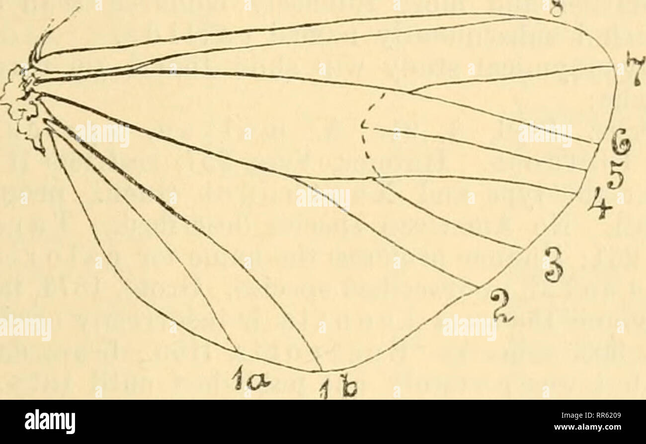 Maculation hi-res stock photography and images - Alamy