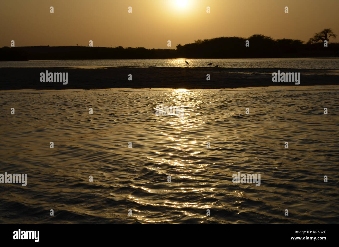 Sunset in the mangroves of the Saloum delta, Senegal Stock Photo - Alamy