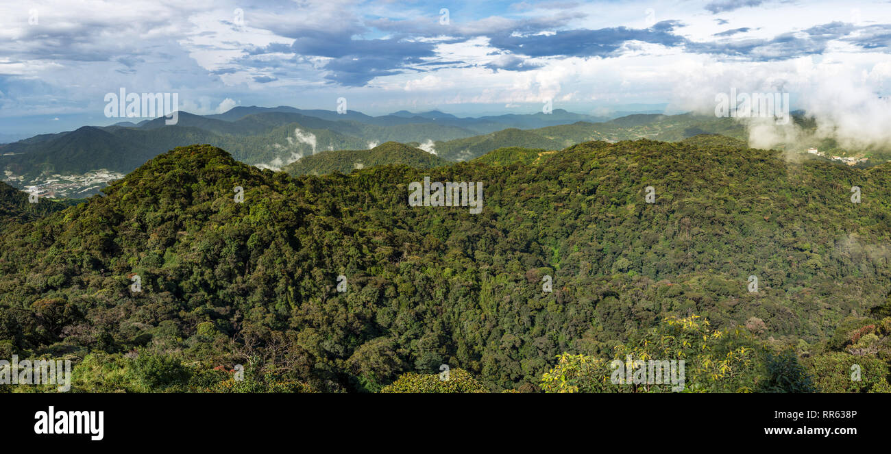 High above panorama view of the Cameron Highlands, Malaysia Stock Photo ...