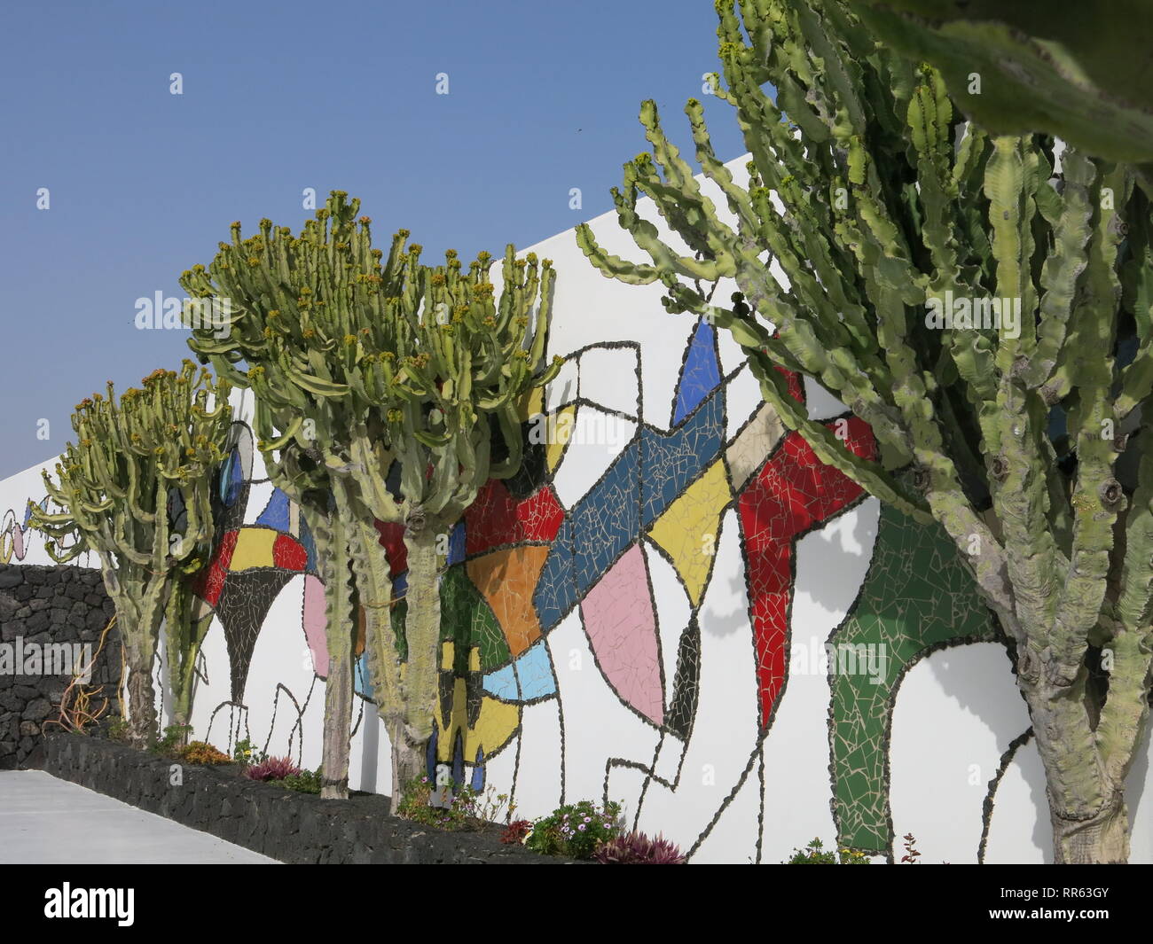 The small garden at the Cesar Manrique Foundation, Lanzarote is bounded ...