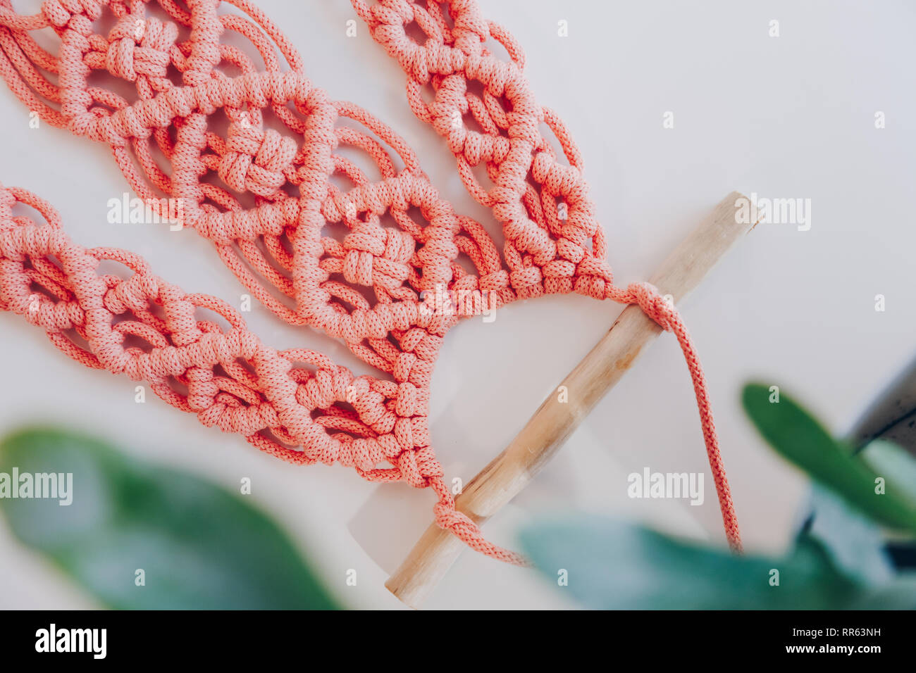 Close up of a coral macrame Stock Photo - Alamy