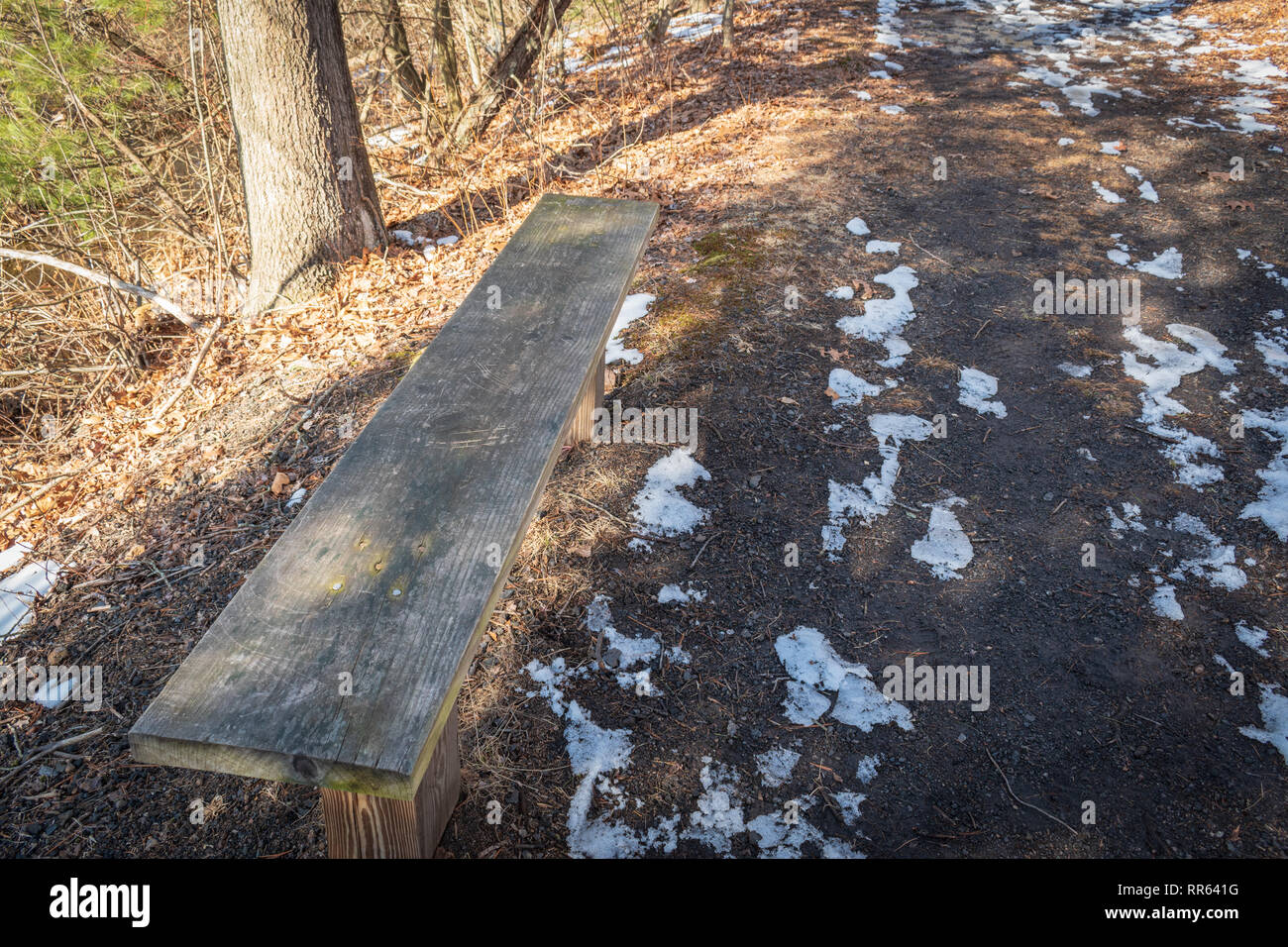 Seat Seating Outdoors Trees High Resolution Stock Photography and ...
