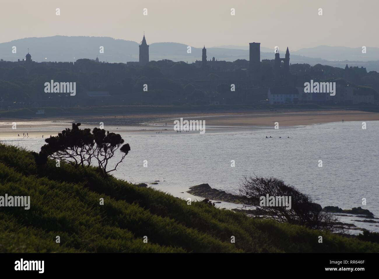 St andrews cliffs hi-res stock photography and images - Alamy