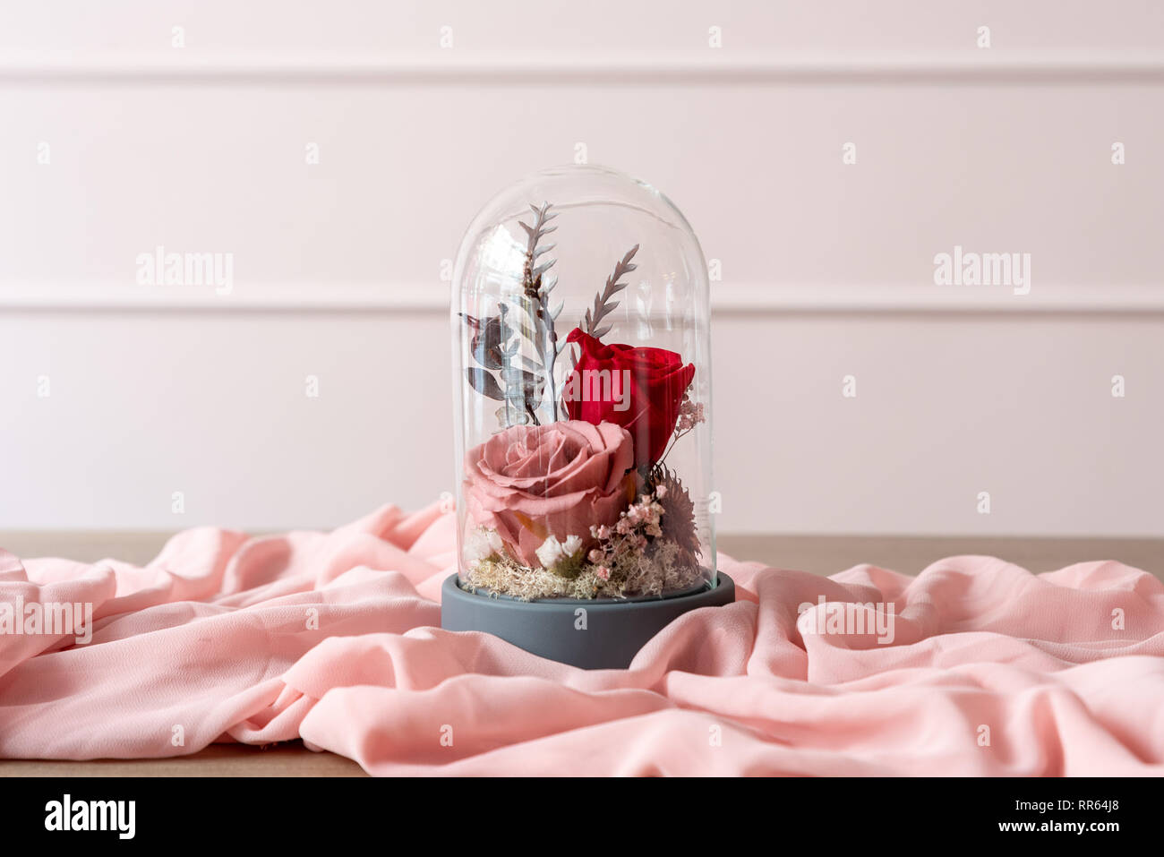 Long-lasting roses in a glass dome Stock Photo - Alamy