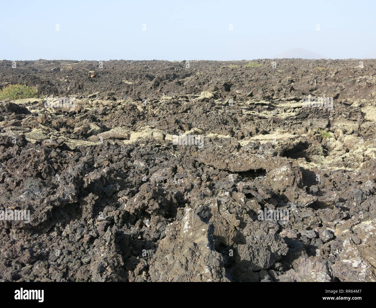 After the last eruption of 1824, the lava fields surrounding Mount ...