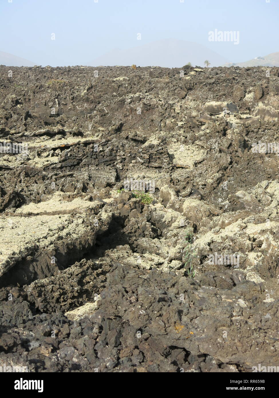 After the last eruption of 1824, the lava fields surrounding Mount ...