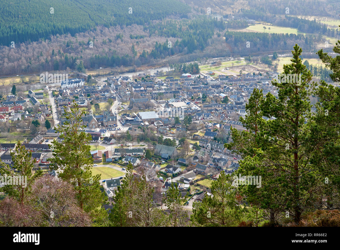 Tree top walk way hi-res stock photography and images - Alamy