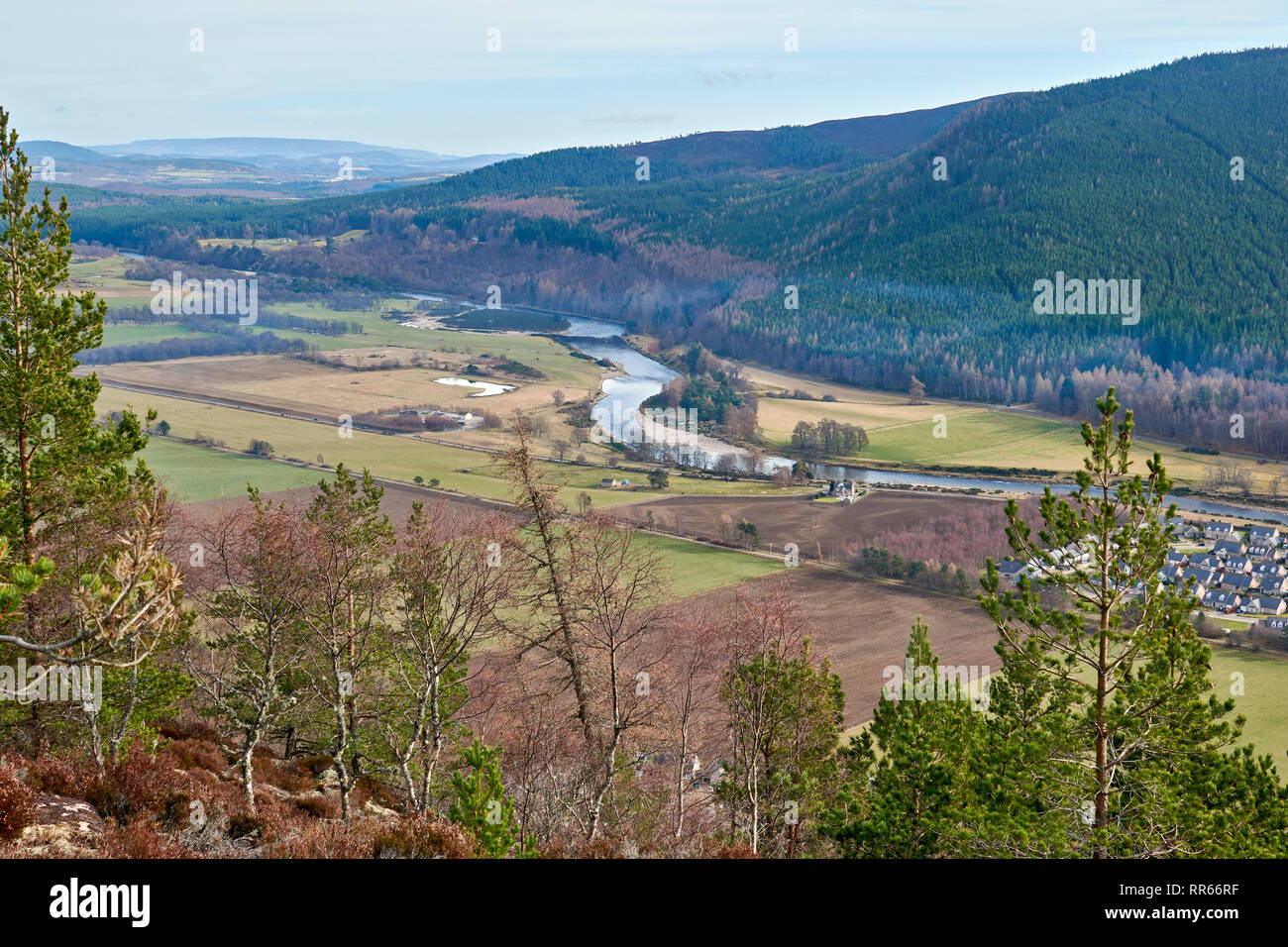 Tree top walk way hi-res stock photography and images - Alamy