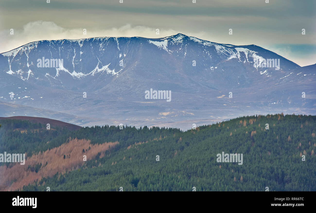 CRAIGENDARROCH WALK BALLATER ABERDEENSHIRE SCOTLAND VIEW INTO THE ...