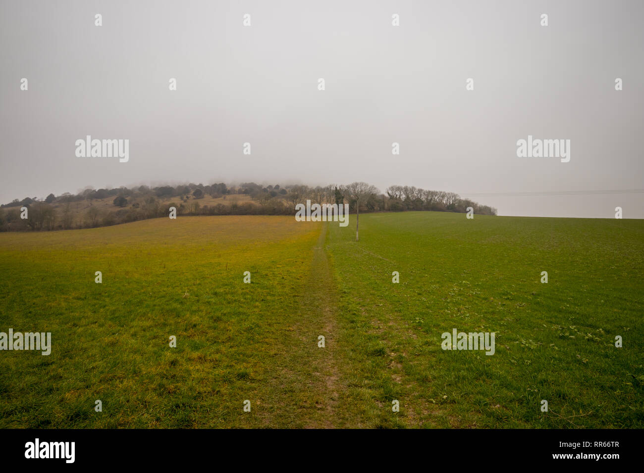 Levin Down Sussex Stock Photos & Levin Down Sussex Stock Images - Alamy