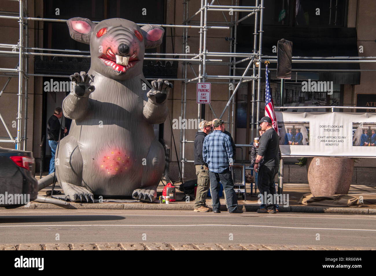 Union Rat High Resolution Stock Photography and Images - Alamy