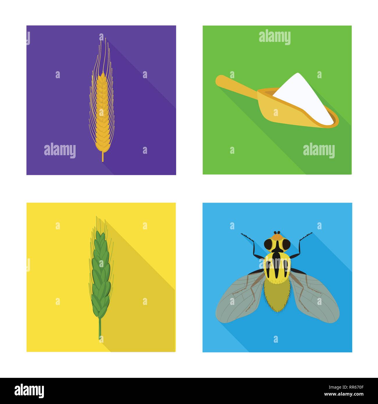 flour,spring,fly,winter,meal,spike,insect,meadow,bread,gold,wildlife ...