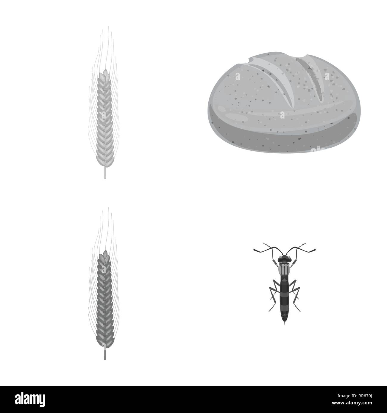 bread,fly,winter,insect,cornfield,healthy,insecticide,straw,loaf,green ...