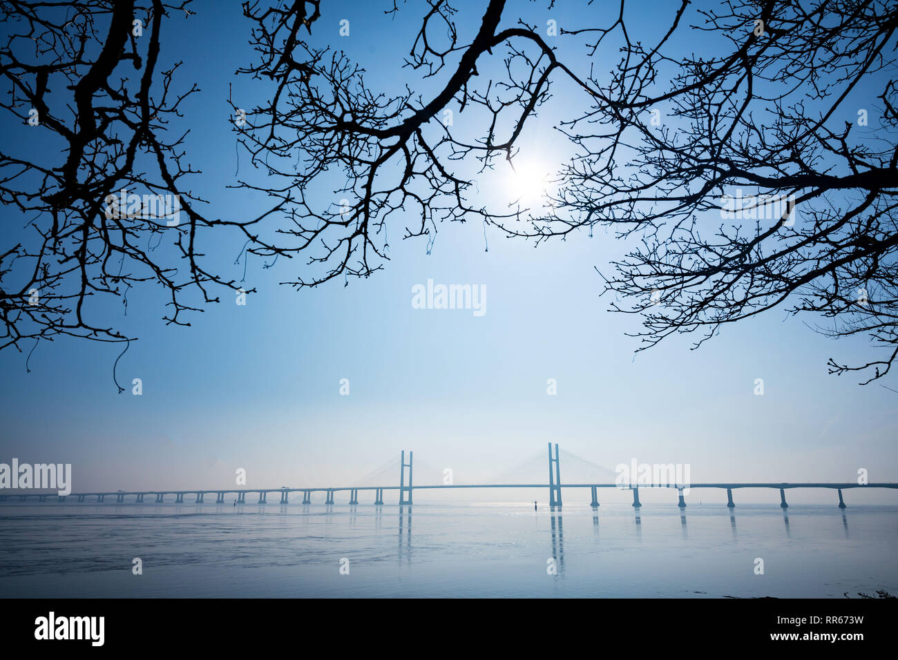 A general view of the Prince of Wales Bridge, formerly the Second ...