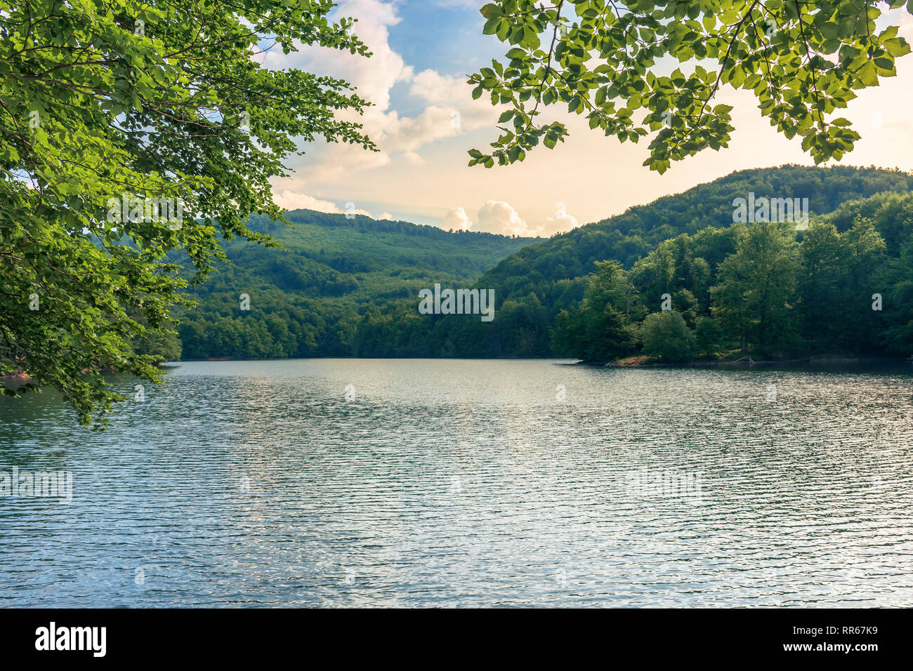 Peaceful Scenery Nature