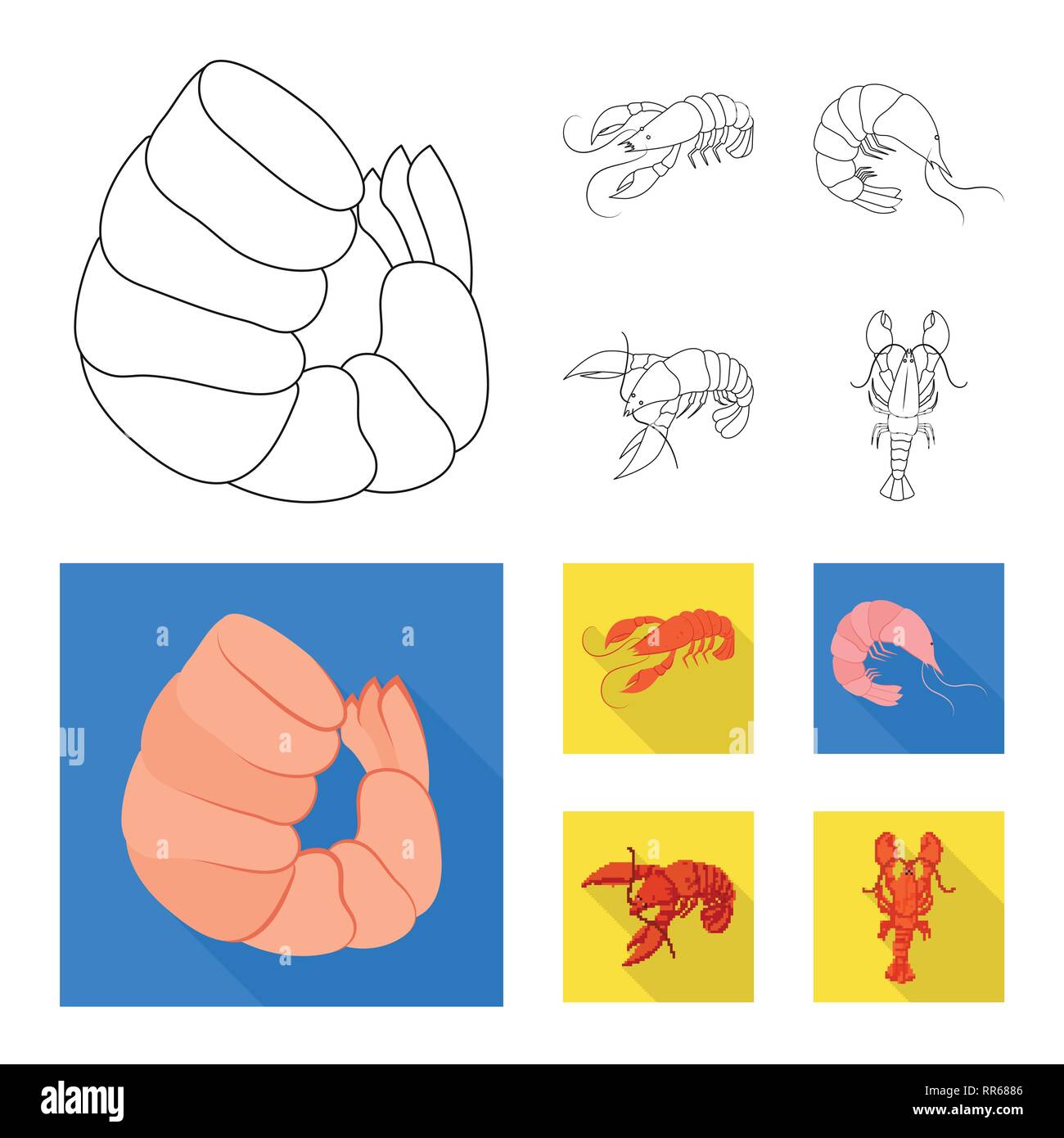 prawn,lobster,crayfish,raw,red,creature,cooked,boiled,underwater,luxury ...