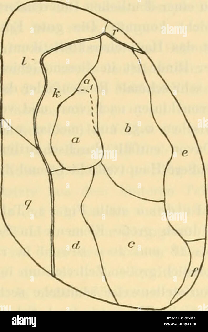 Rechte maus hi-res stock photography and images - Alamy