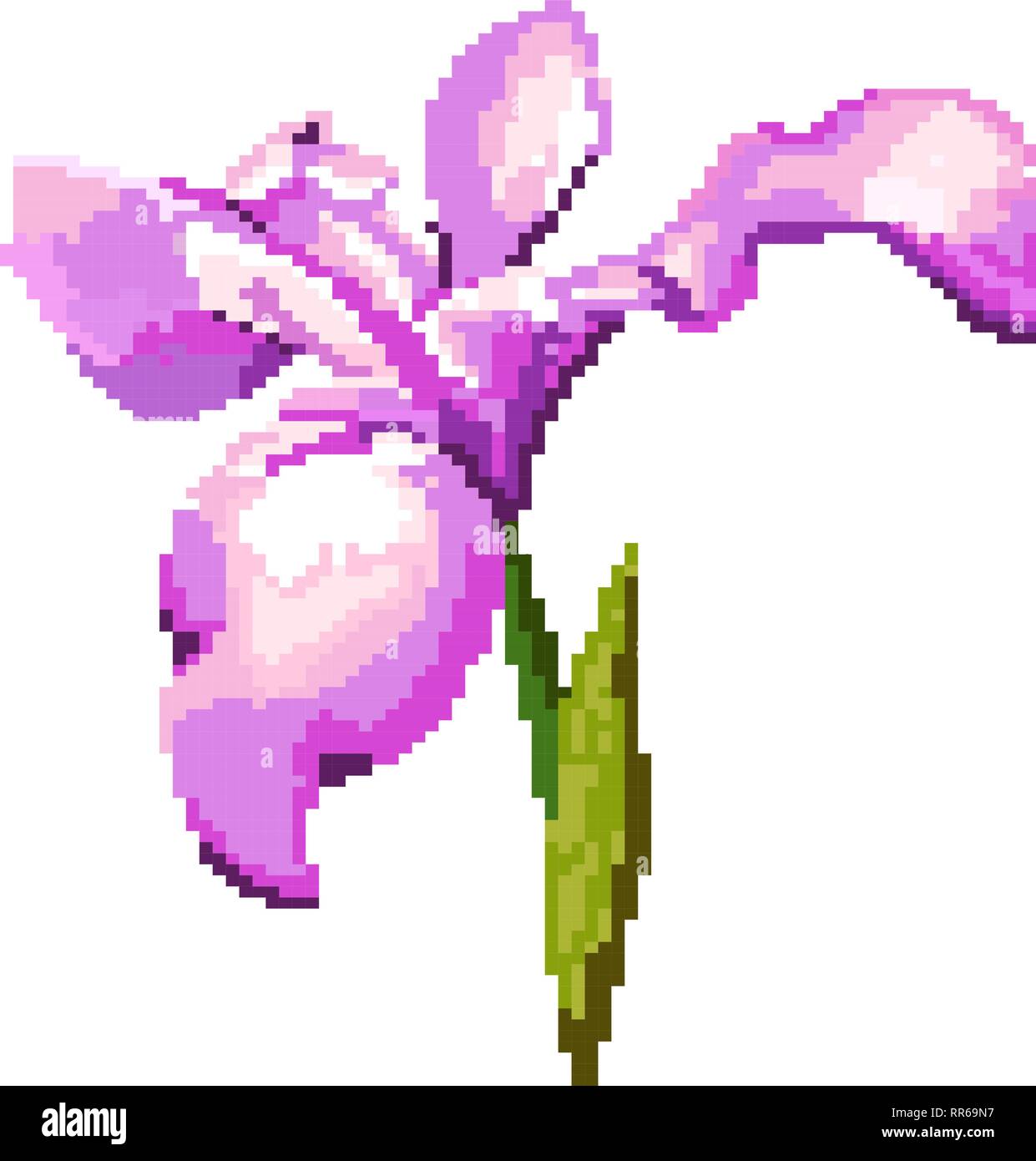 Iris on a white background. Pixel illustration of the flower Stock ...