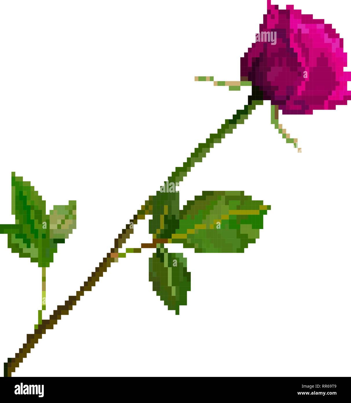 Pixel art rose flower isolated on white background Stock Vector Image ...