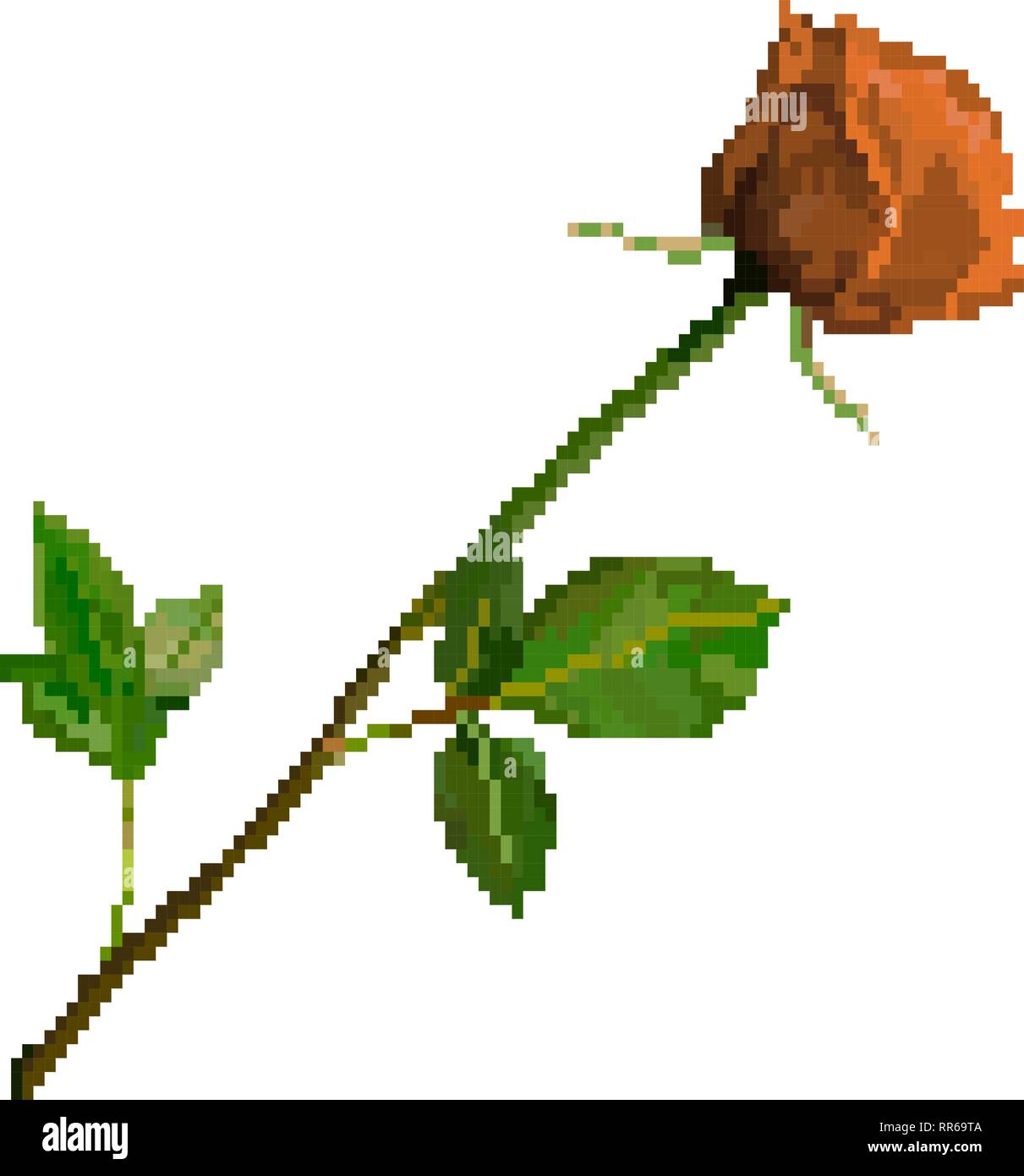 Pixel art rose flower isolated on white background Stock Vector Image ...
