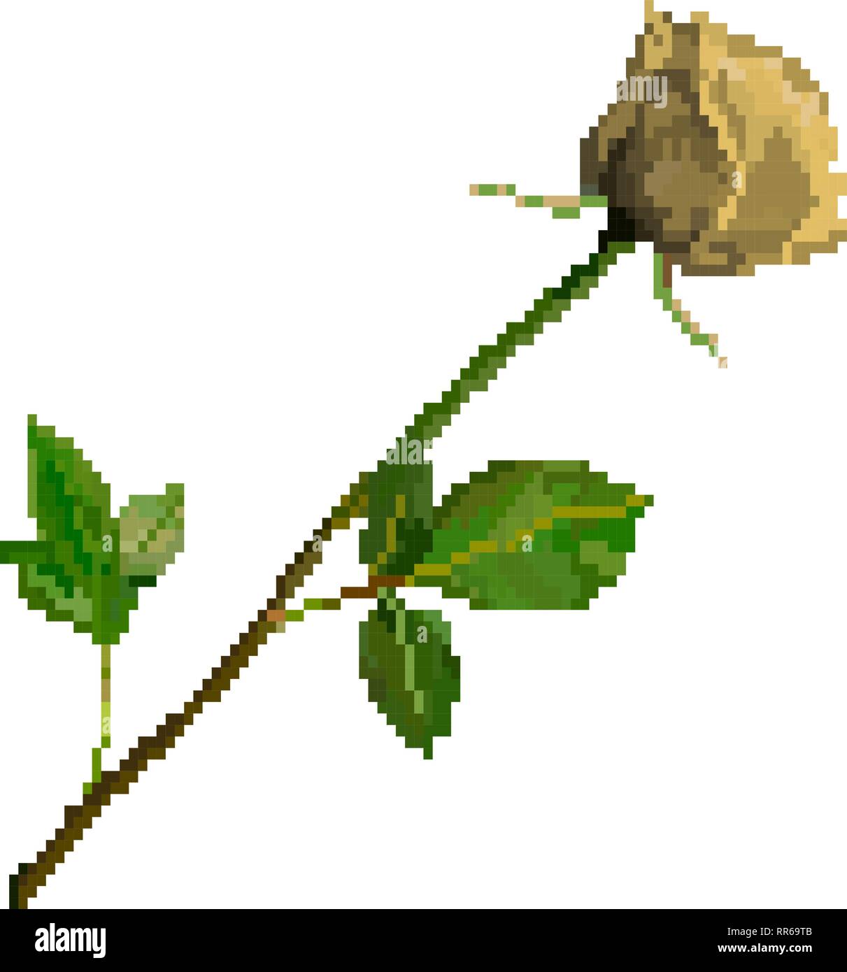 Pixel art rose flower isolated on white background Stock Vector Image ...