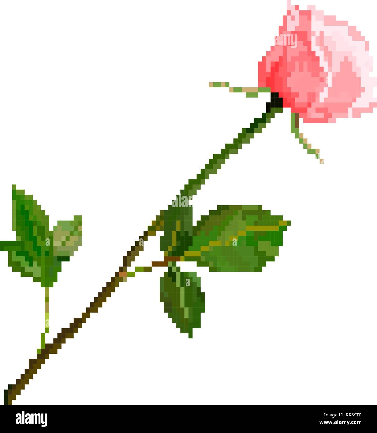 Pixel art rose flower isolated on white background Stock Vector Image ...