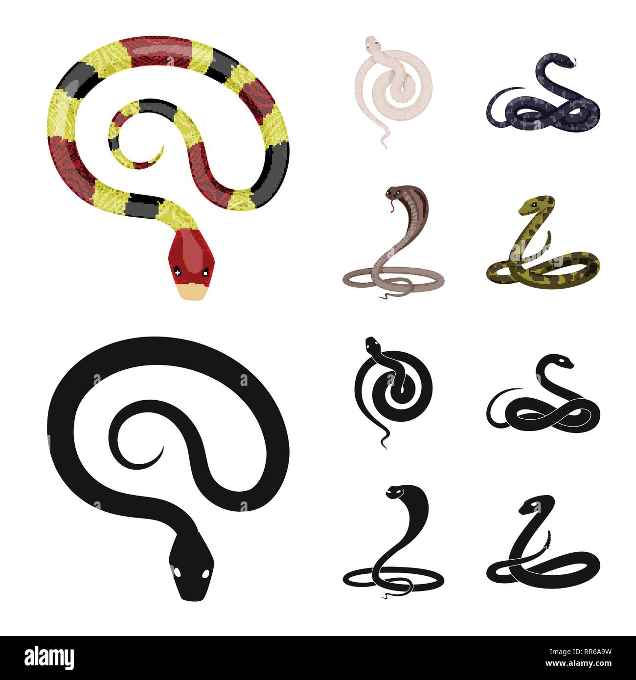 snake,viper,anaconda,cobra,coral,white,tail,python,red,animal,black ...