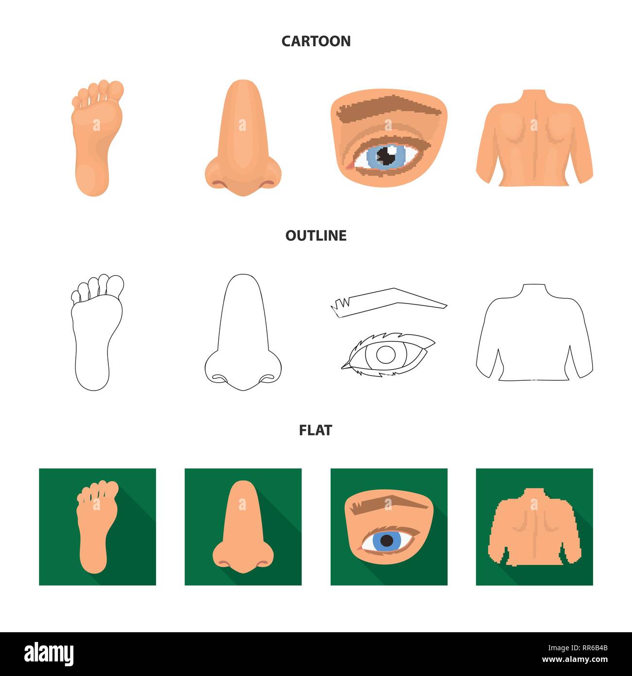 Vector illustration of body and part icon. Collection of body and ...