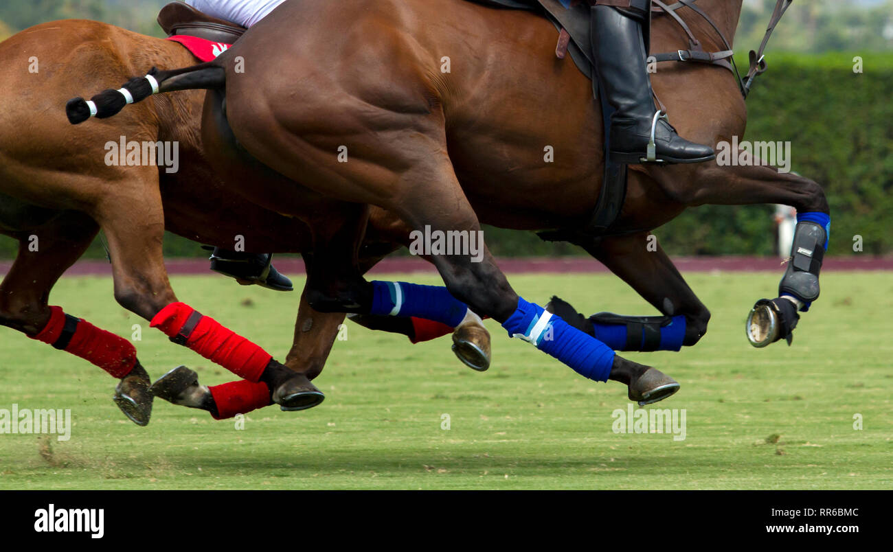 Racing down hi-res stock photography and images - Alamy