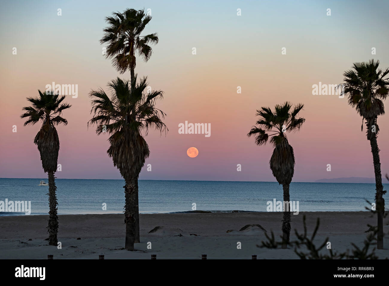 Moon setting at a California beach Stock Photo - Alamy