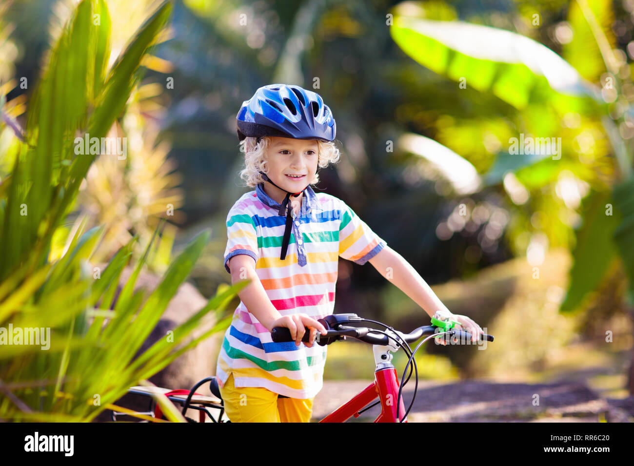 Bicycle Bike Cycle Sport Summer Ride High Resolution Stock Photography ...