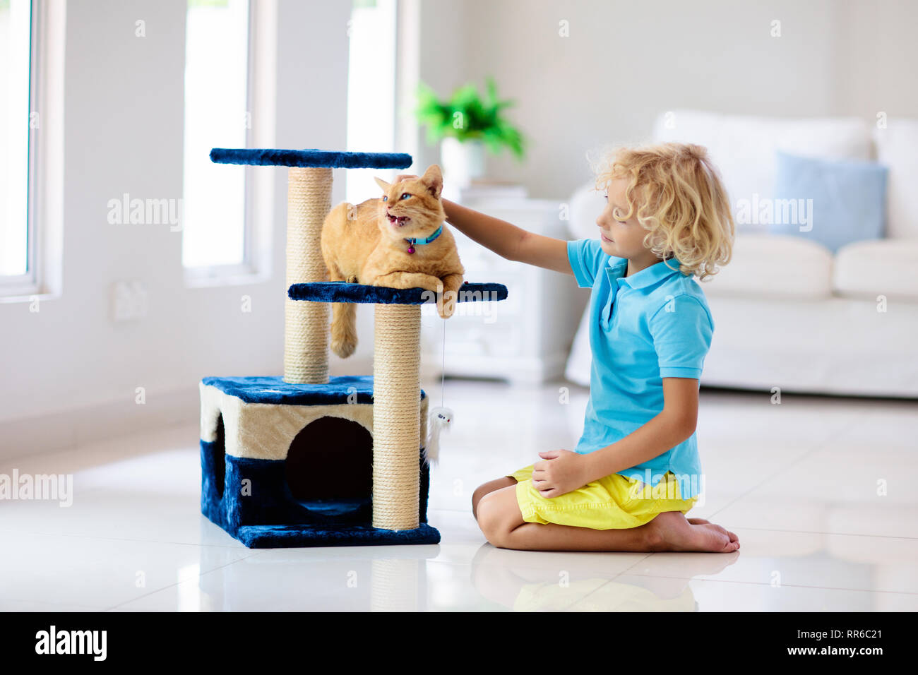 Child playing with cat at home. Kids and pets. Little boy feeding and ...