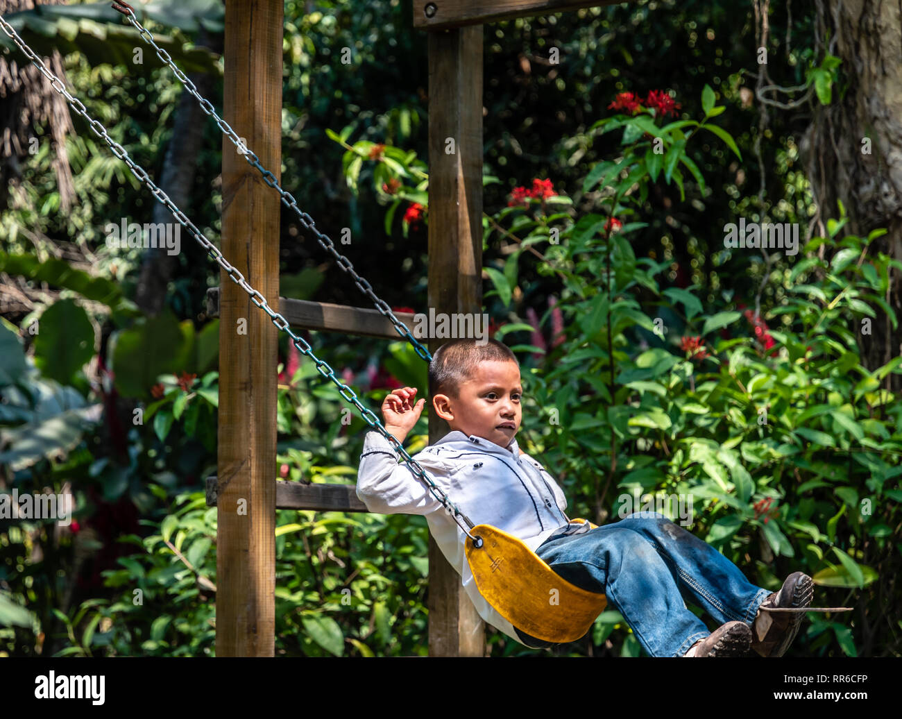 young latin boy playing on swings in Guatemalan playground Stock Photo ...